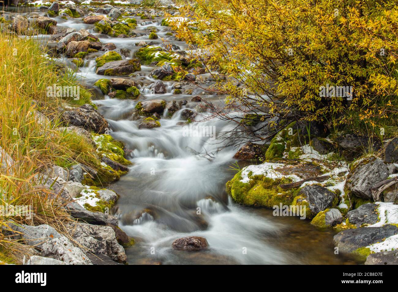 A small stream with fresh snow, Spray Lake Provincial Park, Alberta ...