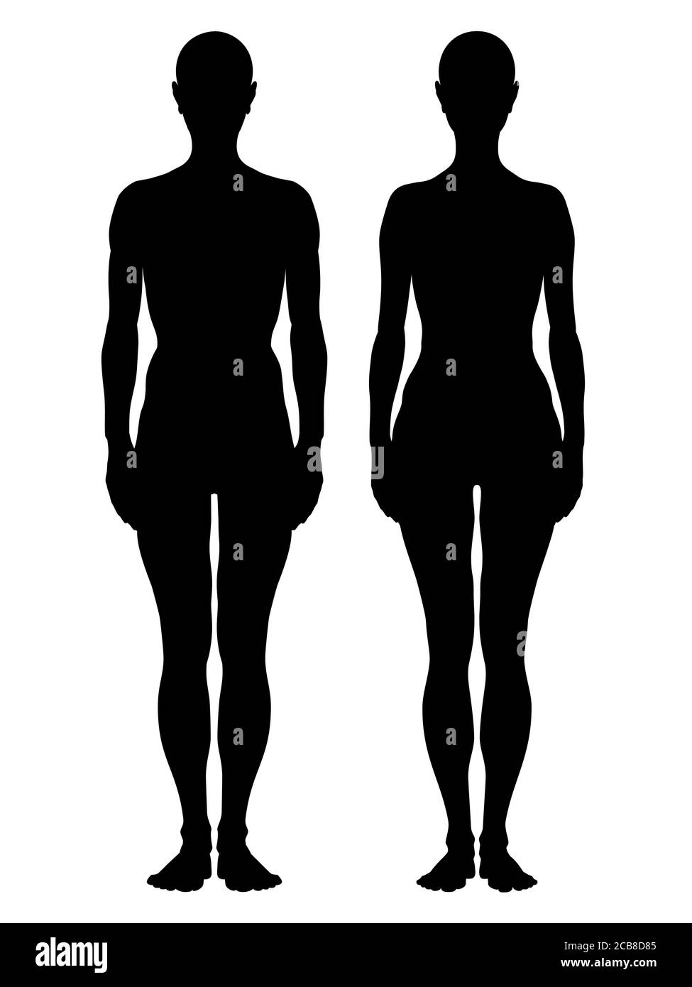 Hand drawn male and female body. Flat vector drawings isolated on white ...