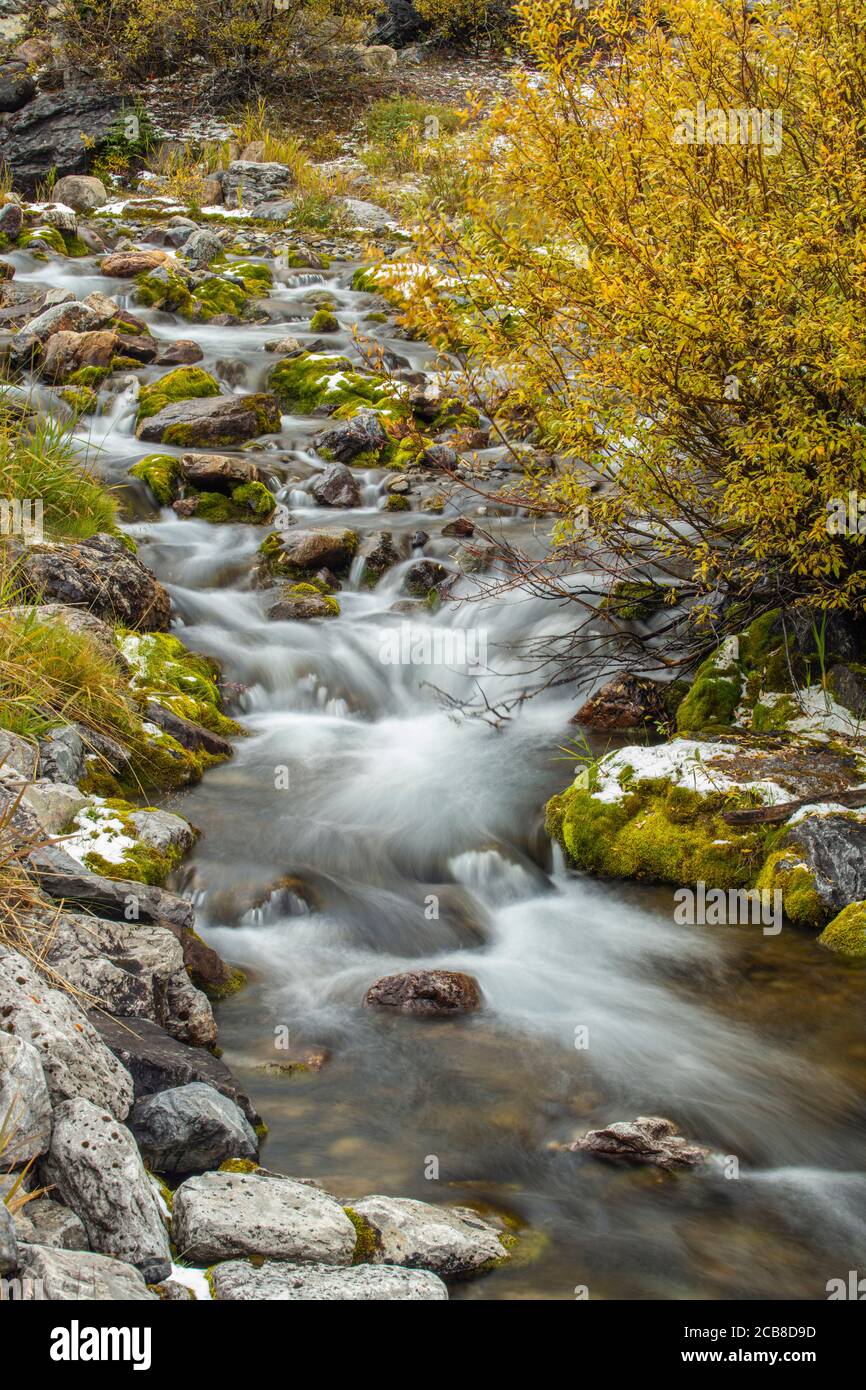 Spray lake provincial park hi-res stock photography and images - Alamy