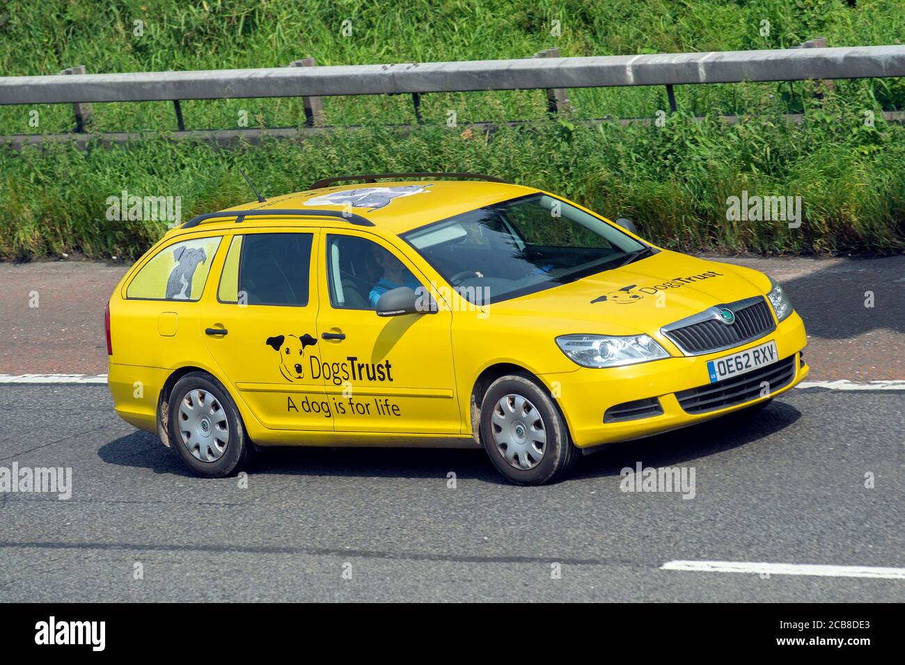 Dogs trust logo hi-res stock photography and images - Alamy