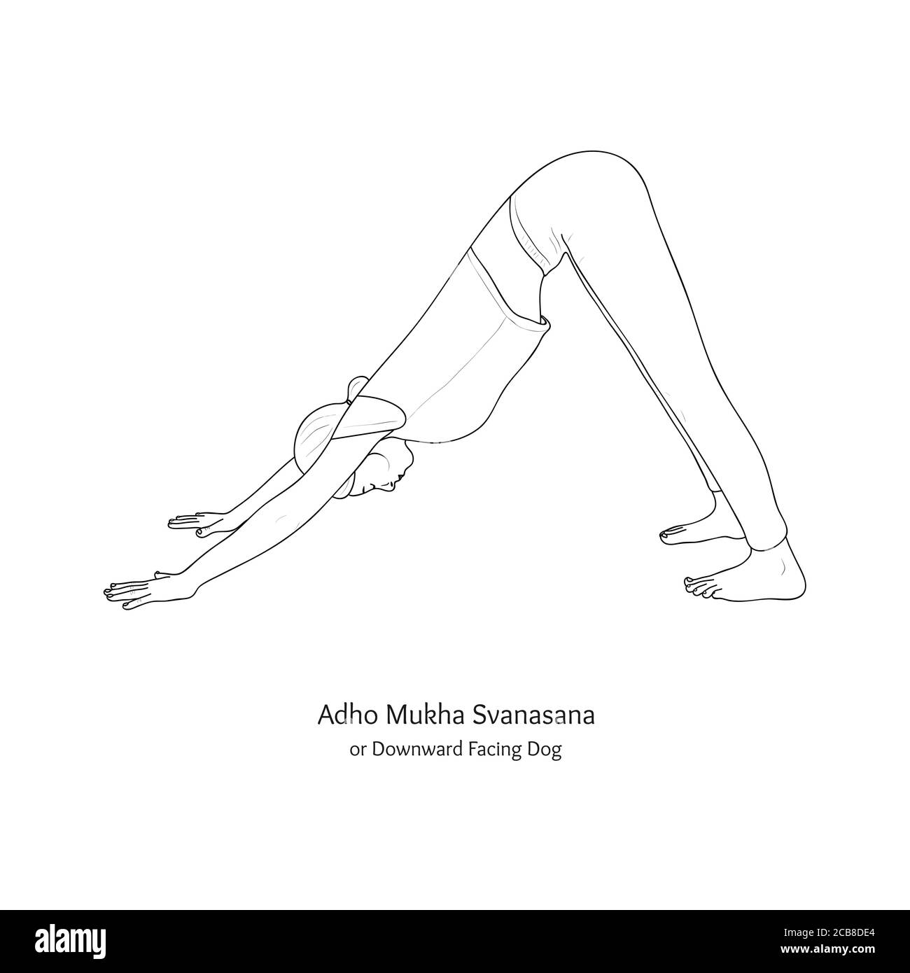 Adho Mukha Svanasana or Downward Facing Dog. Vector Stock Vector Image ...