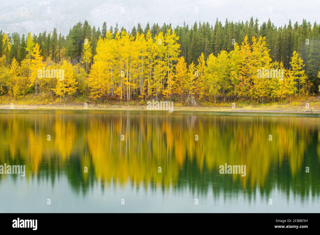 Autumn reflections in Wedge Pond, Kananaskis Country, Peter Loughheed ...