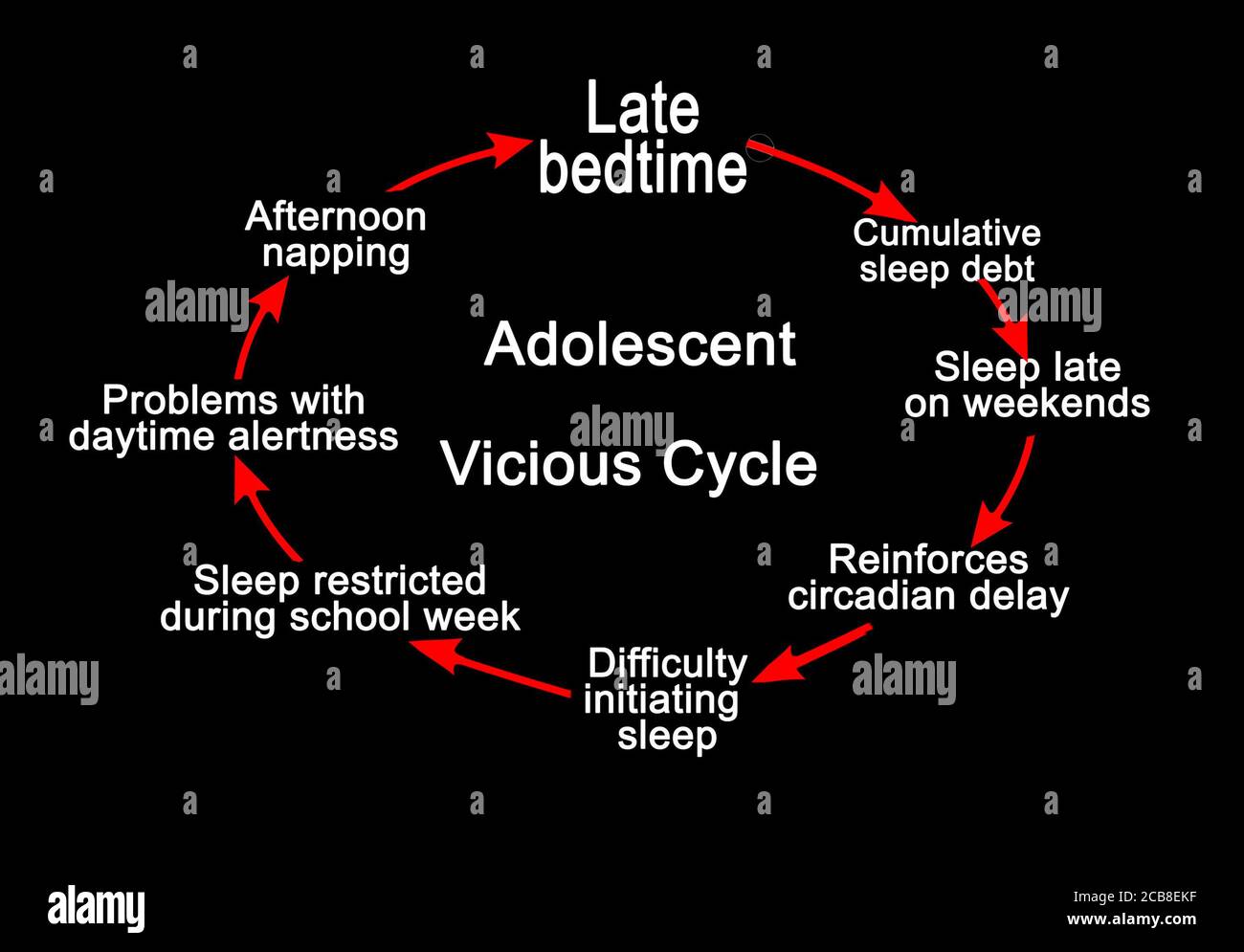 Components of Adolescent Vicious Cycle Stock Photo - Alamy