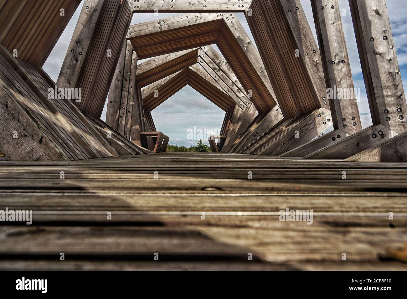 The Nick in Kielder Forest Stock Photo - Alamy