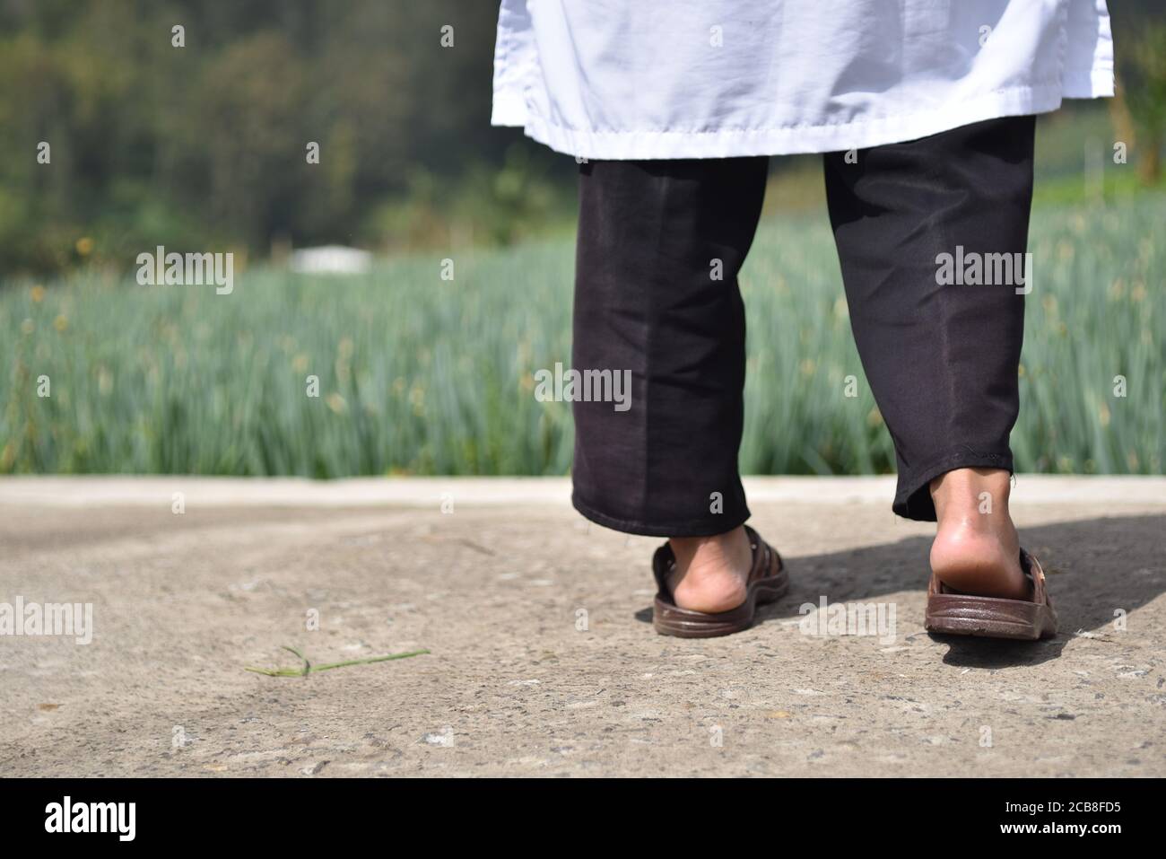 Shallow focus shot of a person's legs from behind during walking Stock ...