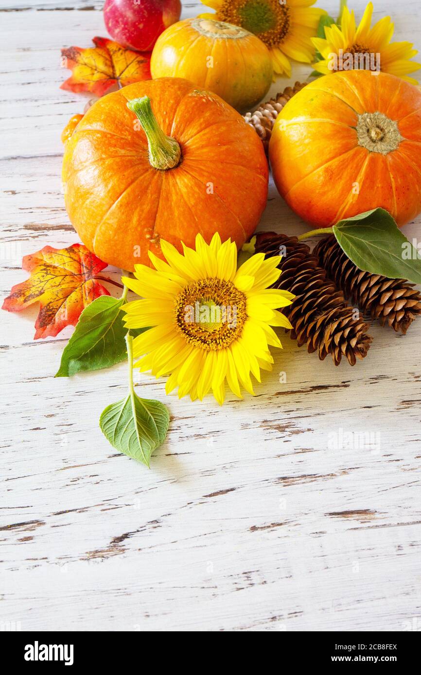 Autumn, fall, Thanksgiving concept. Pumpkins, sunflowers, apples and ...