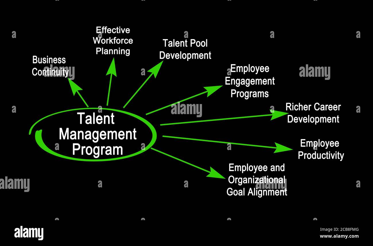 Components of Talent Management Program Stock Photo - Alamy