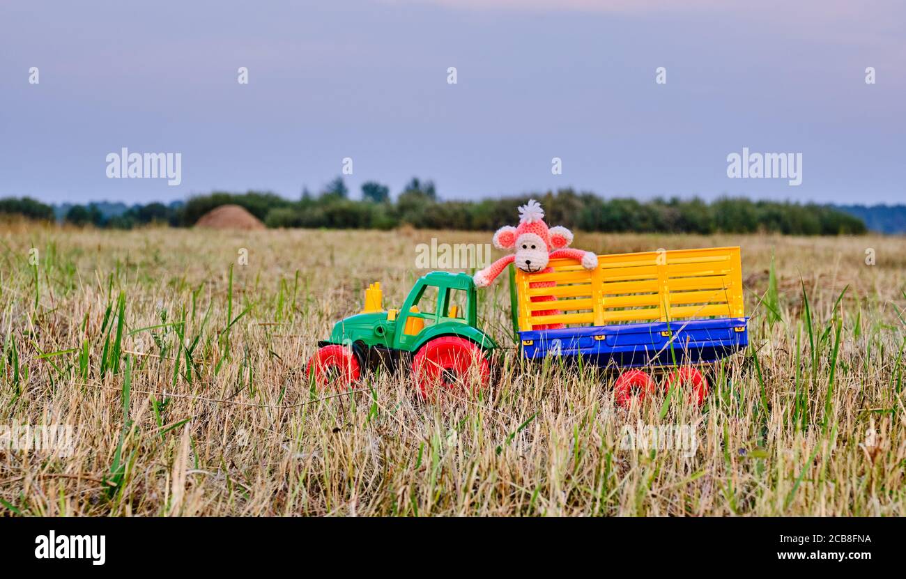 Toy tractor with a trailer and a funny toy monkey on real agricultural ...