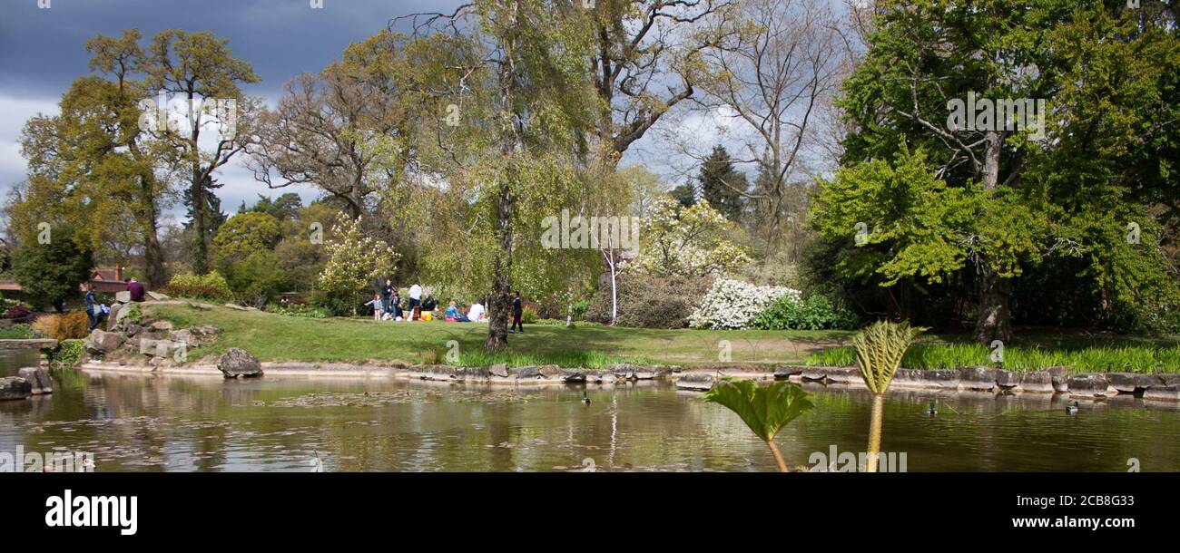 Cliveden House park and lake Stock Photo - Alamy
