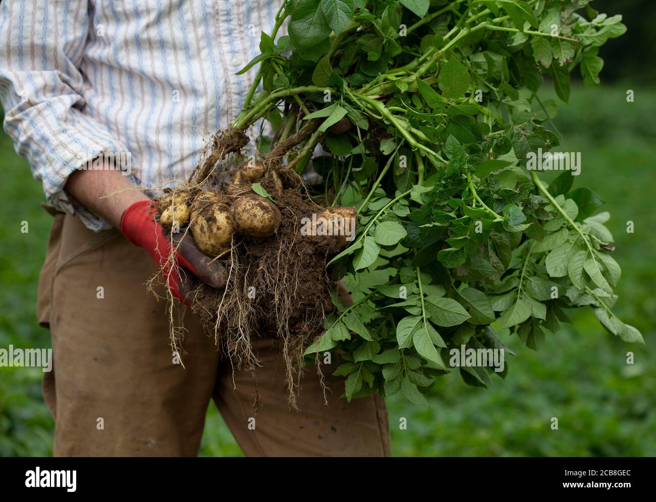Sharpe's express hi-res stock photography and images - Alamy