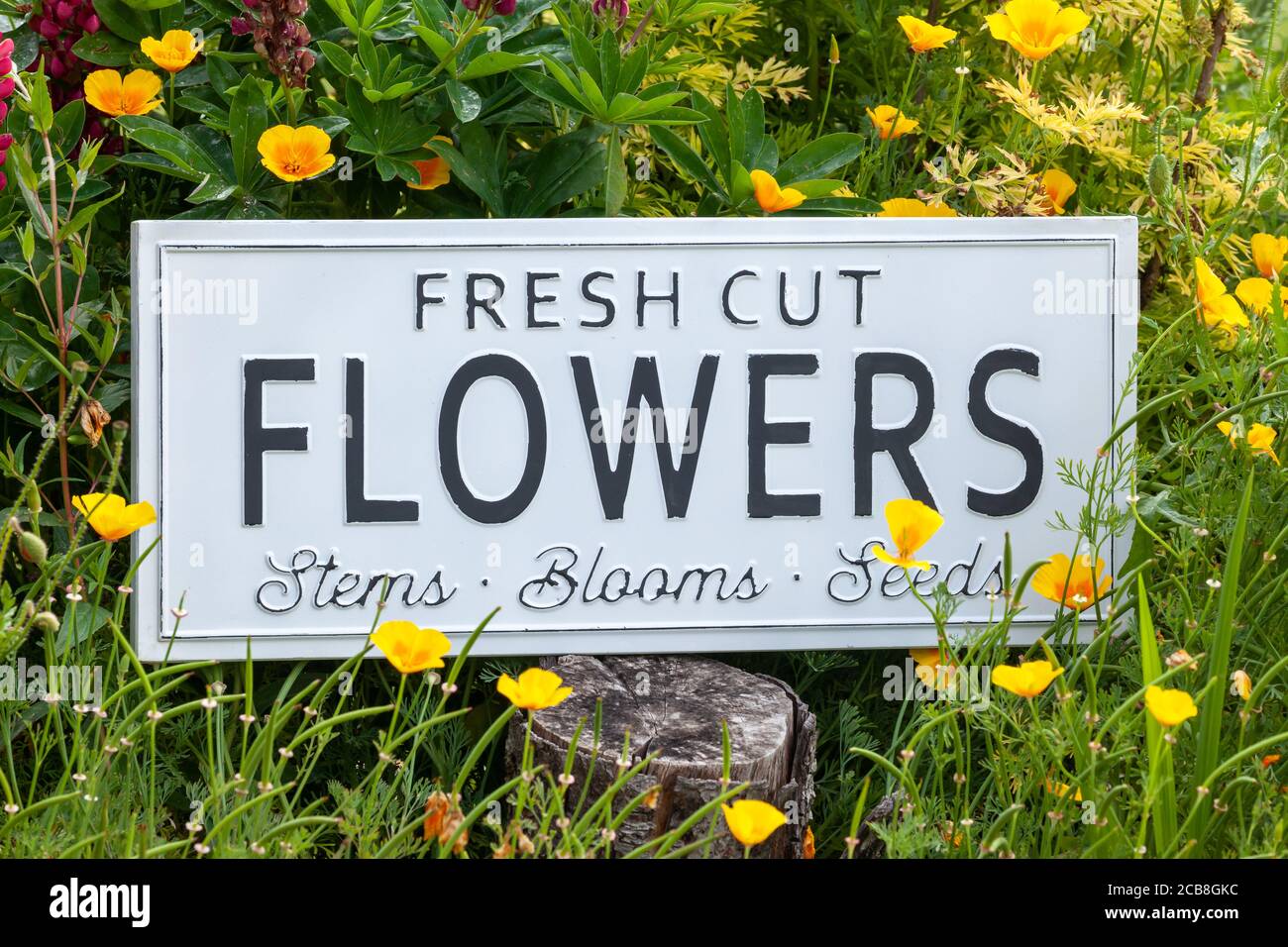 Sign blossom hi-res stock photography and images - Alamy
