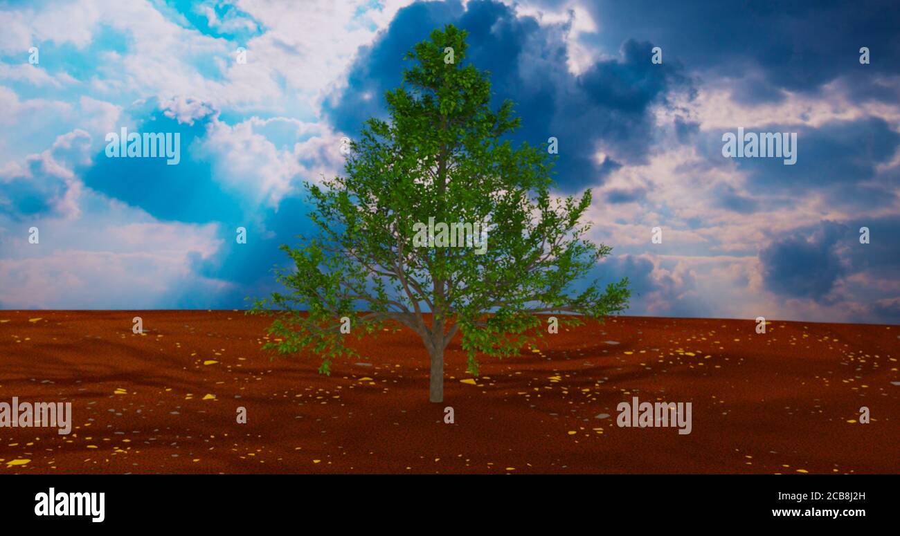 3d illustration, tree colors in front of blue sky Stock Photo - Alamy