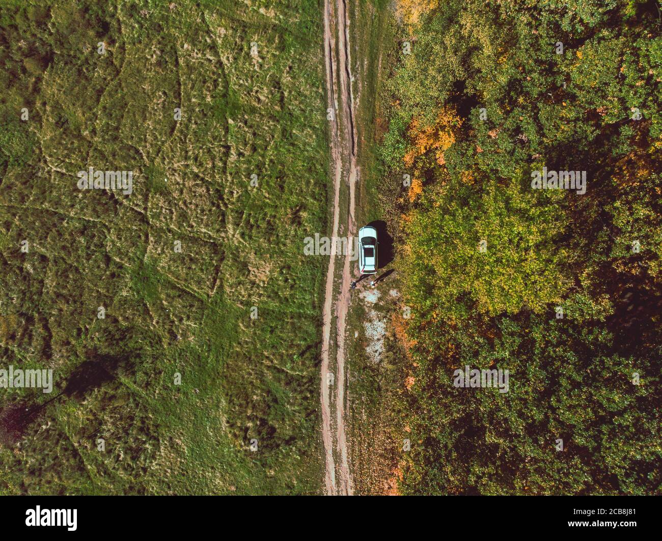 aerial view of white suv car on autumn forest trail Stock Photo - Alamy