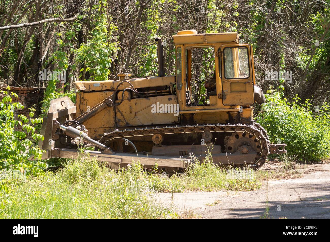 Bulldozer in the forest. Large tractor with a bucket. Forest cleaning ...