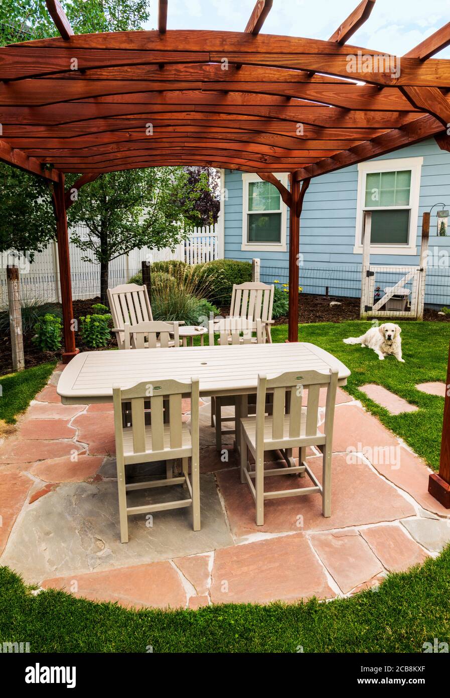 Platinum colored Golden Retriever dog; cedar pergola; slate patio; lawn ...