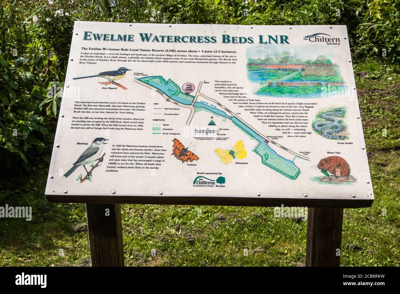 The watercress beds local nature reserve in the Oxfordshire village of ...