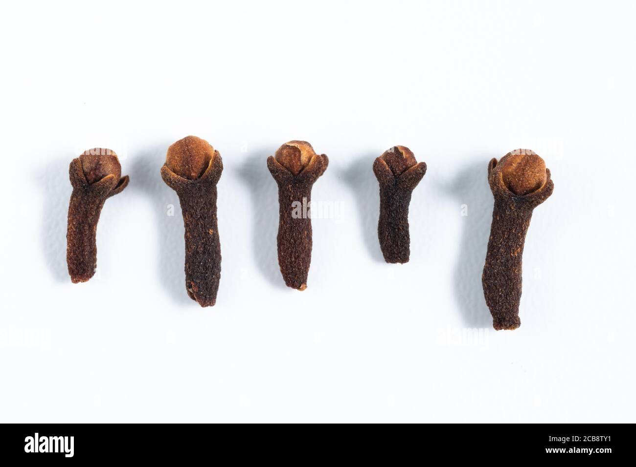 Closeup shot of a dry cloves spice isolated on white background Stock ...