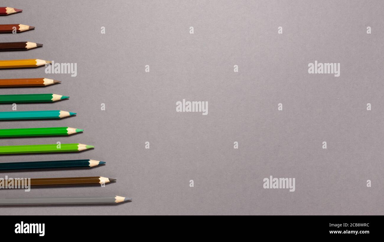 Pencils different colors at the left side flat lay top view on gray ...