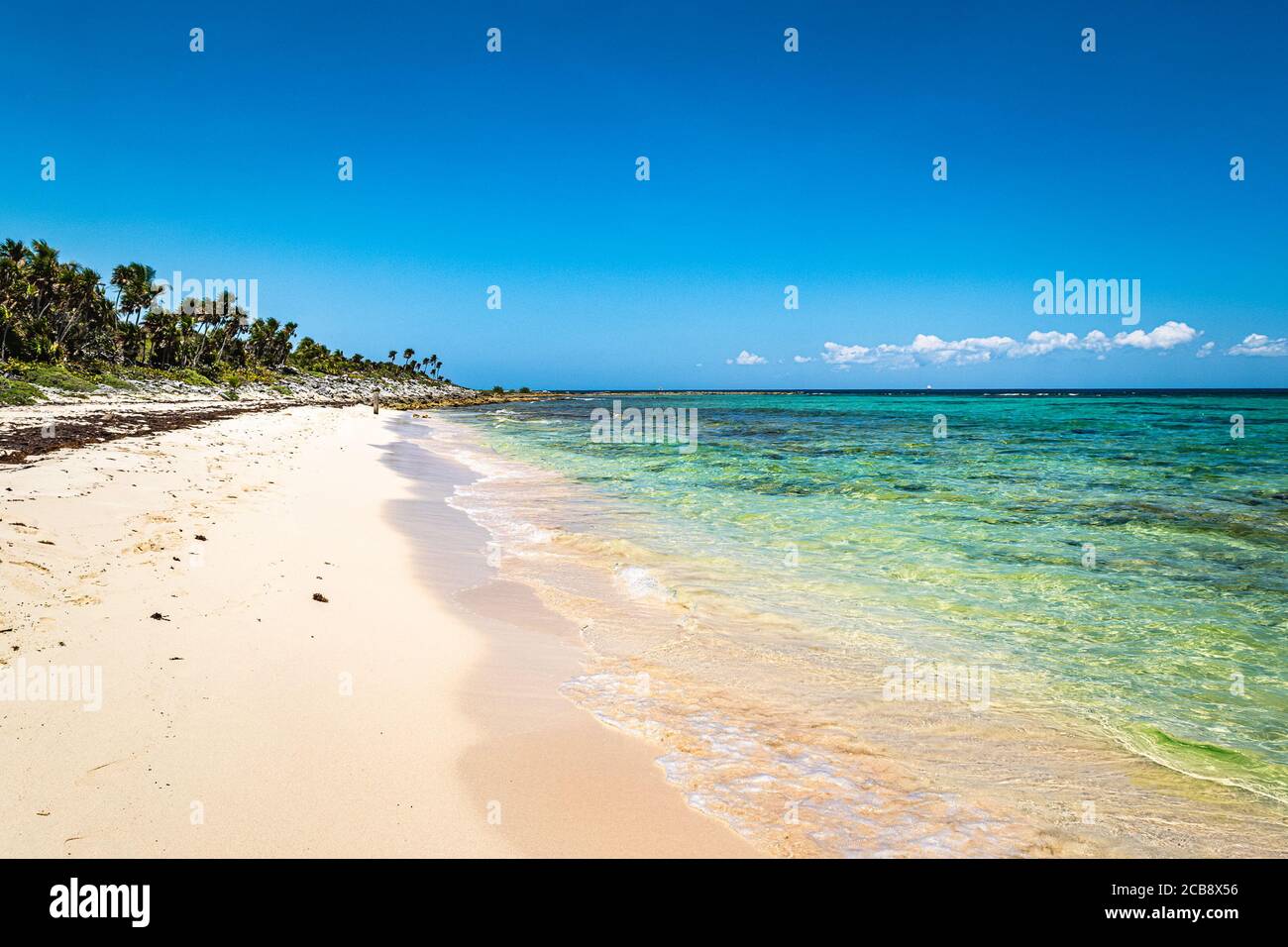 Tropical Xcacel beach on the Caribbean Sea coast. Marine turtles ...
