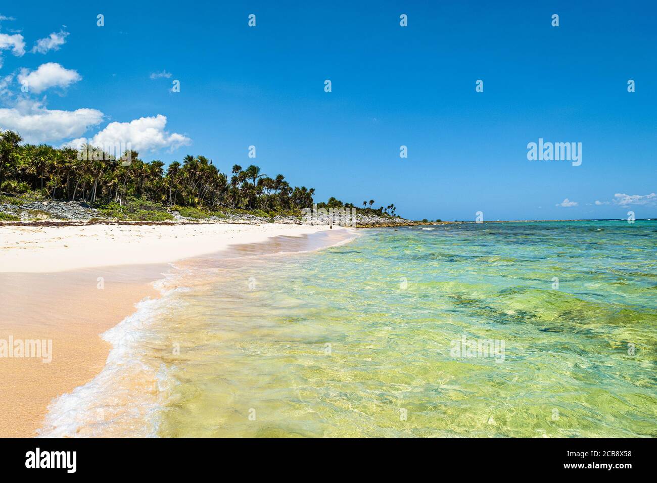 Tropical Xcacel beach on the Caribbean Sea coast. Marine turtles ...