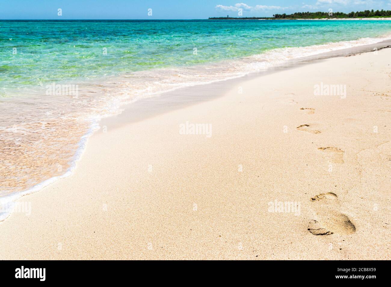 Tropical Xcacel beach on the Caribbean Sea coast. Marine turtles ...