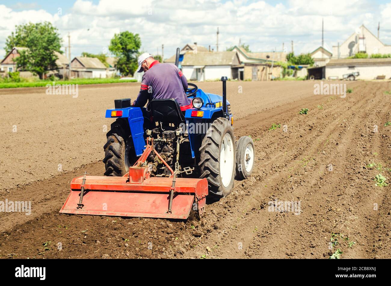 Farmer drives a tractor with a milling machine. Loosens, grind and mix ...