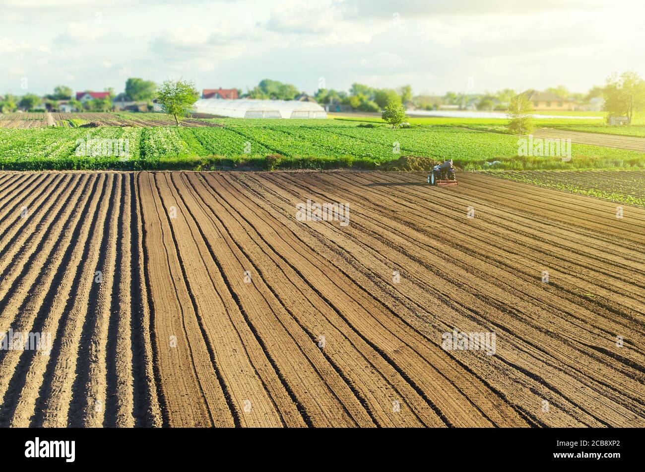 The farm's field is processed with agricultural machinery. Tractor with ...