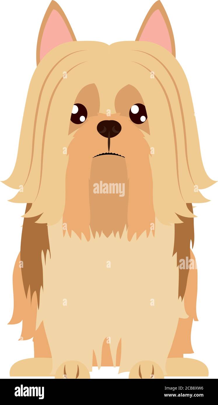 Yorkshire Terrier dog icon over white background, flat style, vector ...