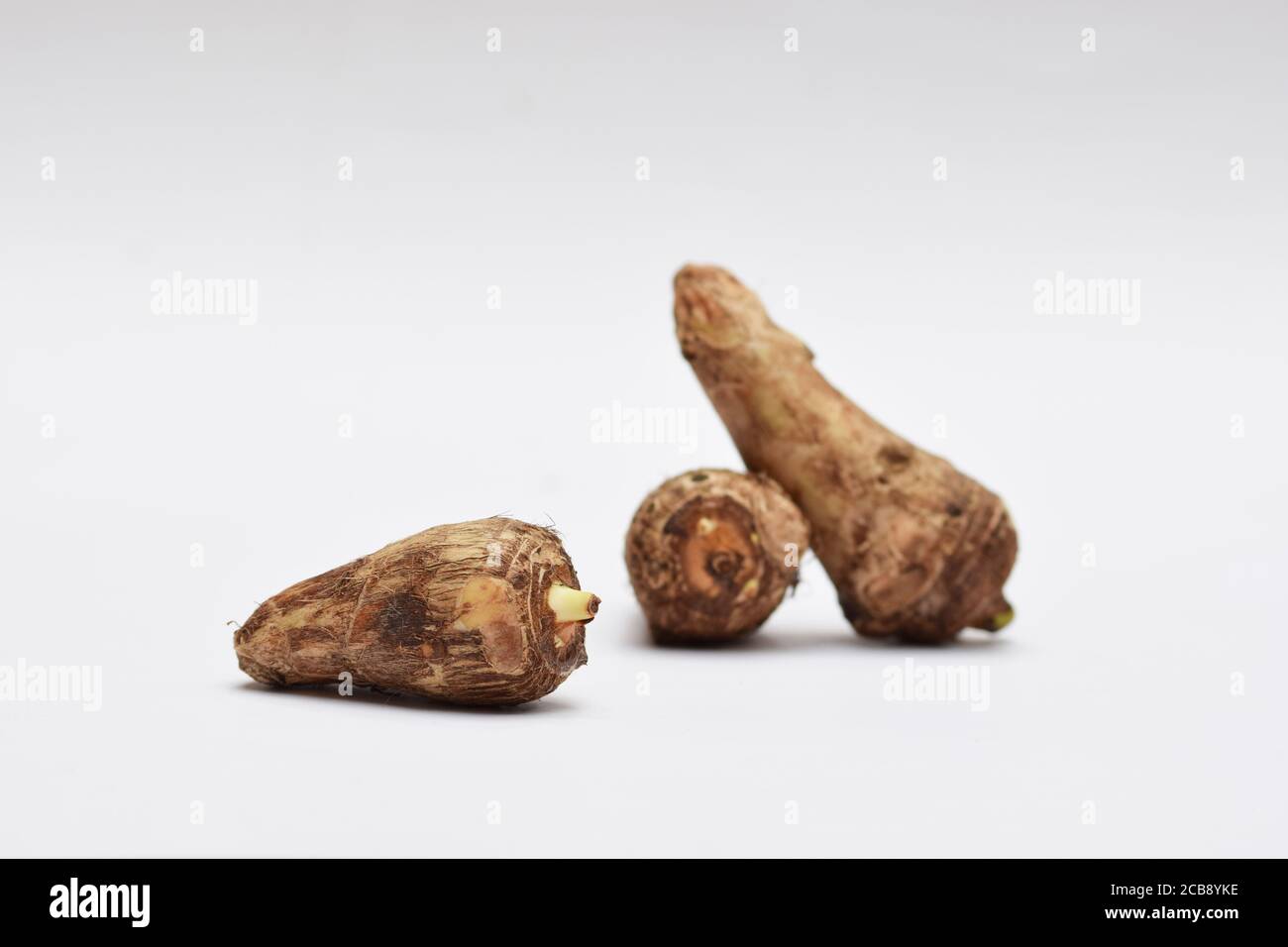 Taro root on white background. Colocasia elephant ear plant root ...