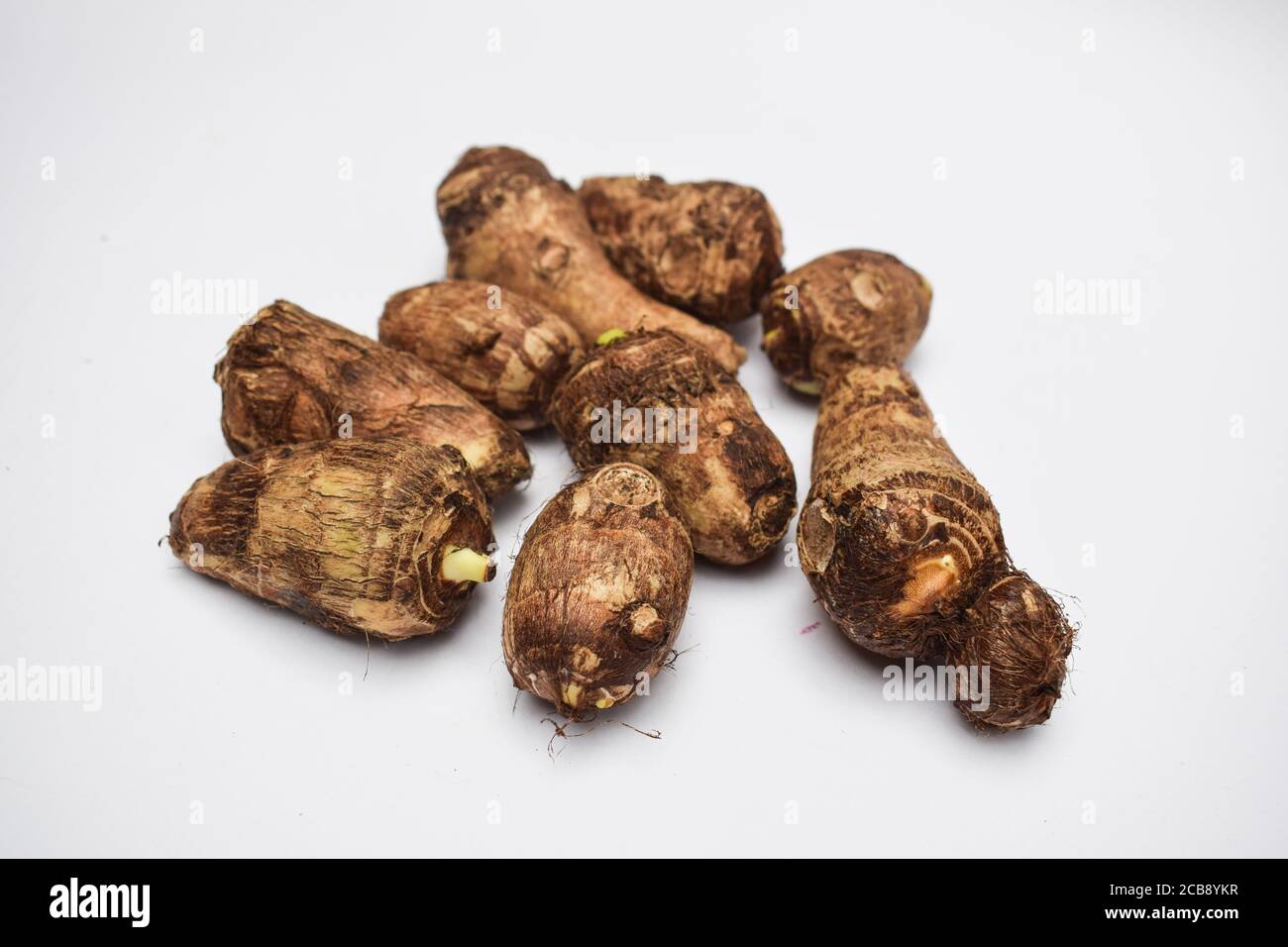 Taro root on white background. Colocasia elephant ear plant root ...