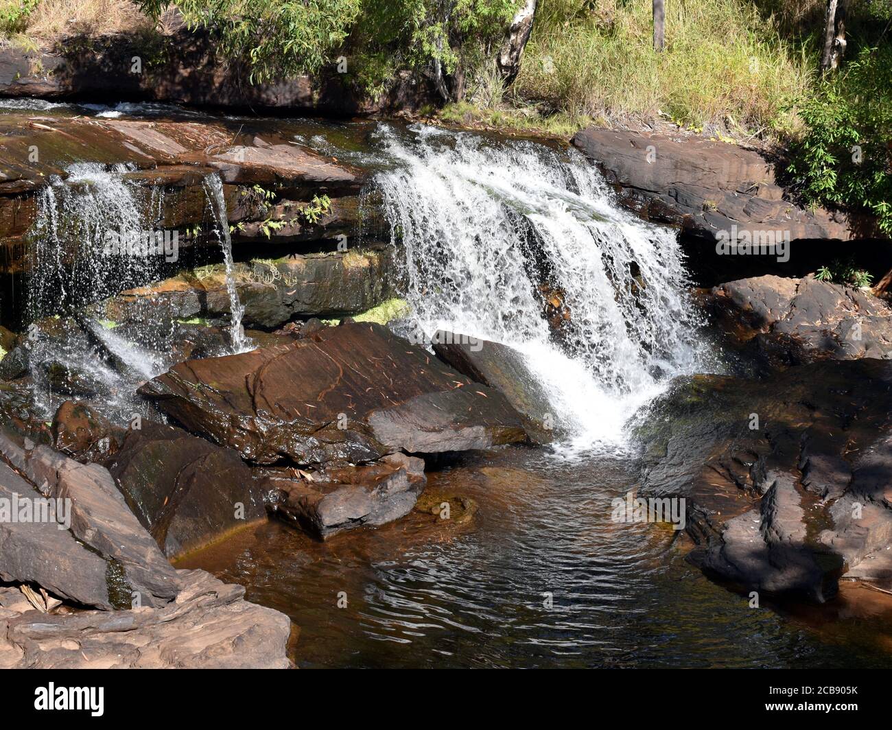 Leaves in a waterfall close up hi-res stock photography and images - Alamy