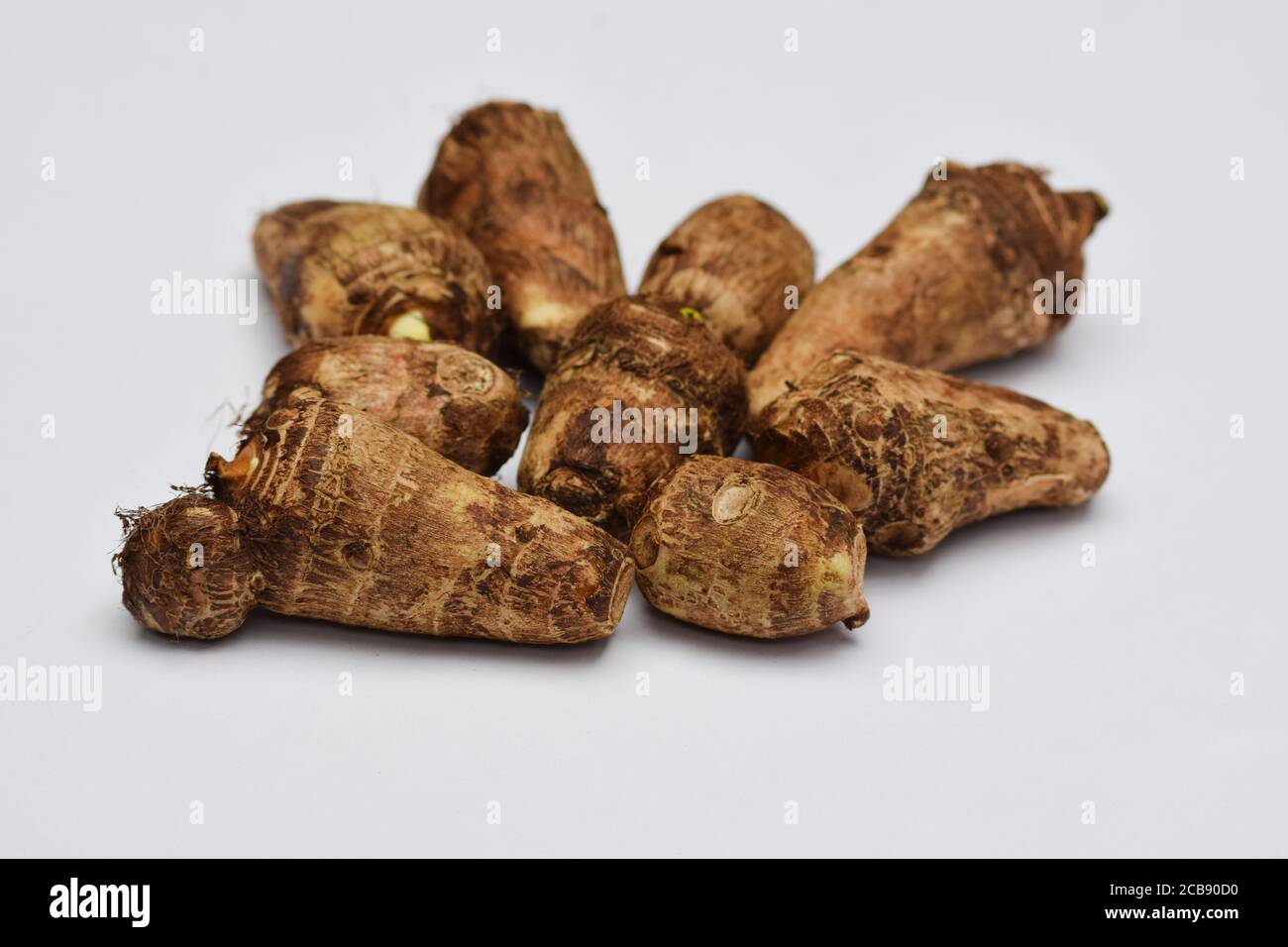 Whole Taro root or Colocasia esculenta raw root vegetable also known as ...