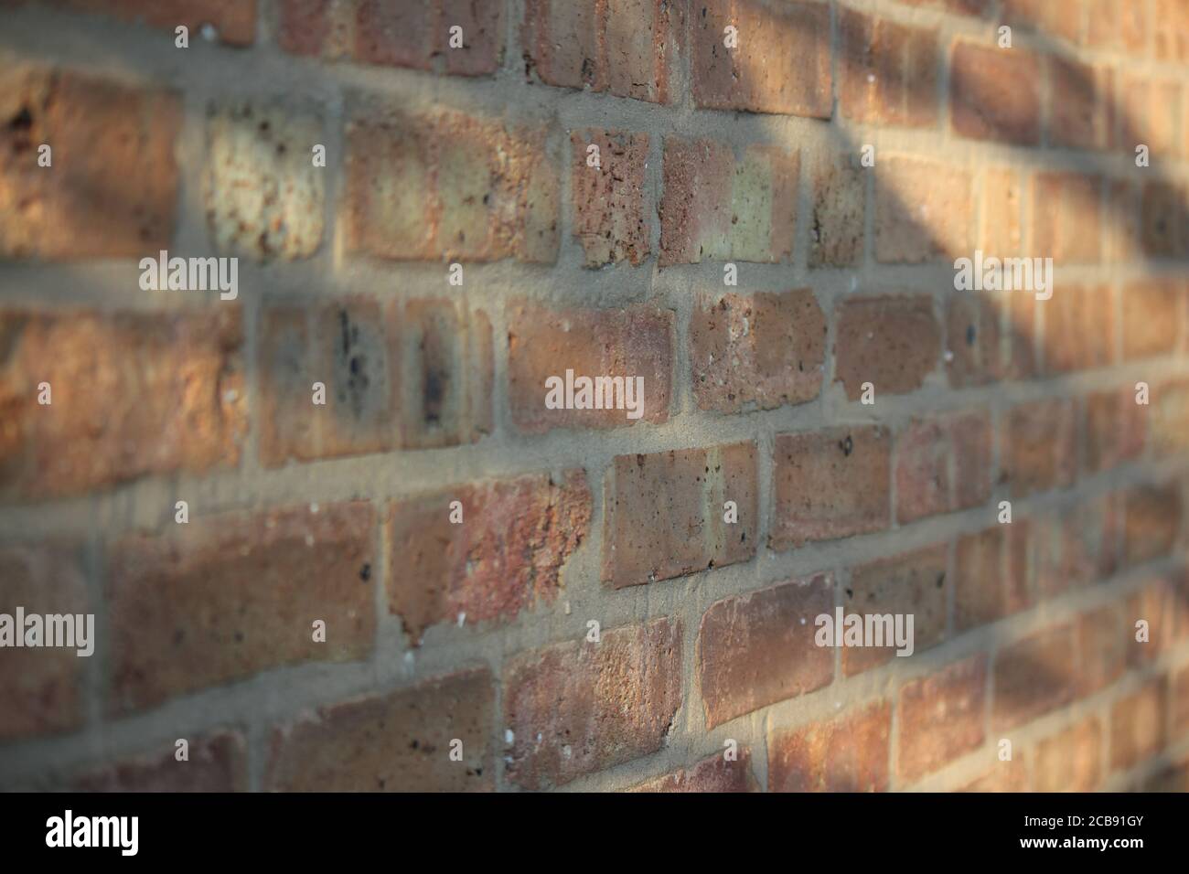 Backyard Chicago common brick wall of a garage in apricot color Stock ...