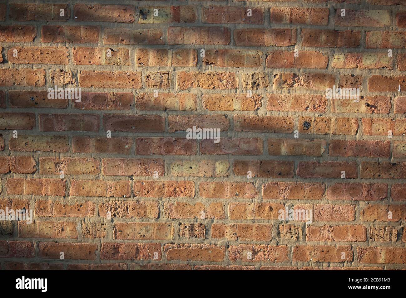 Backyard Chicago common brick wall of a garage in apricot color Stock ...