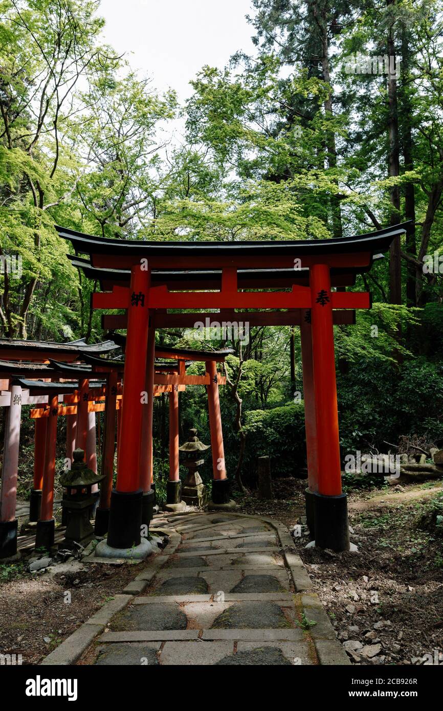 Mesmerizing shot of famous torii gates in Fushimi Inari Shrine, Kyoto ...