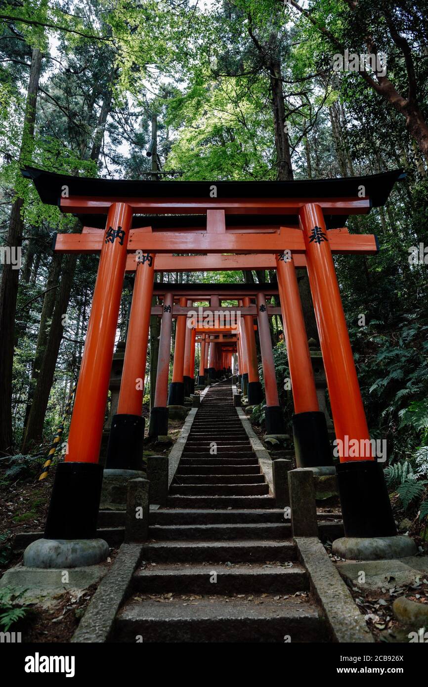 Vertical shot of famous torii gates in Fushimi Inari Shrine, Kyoto ...