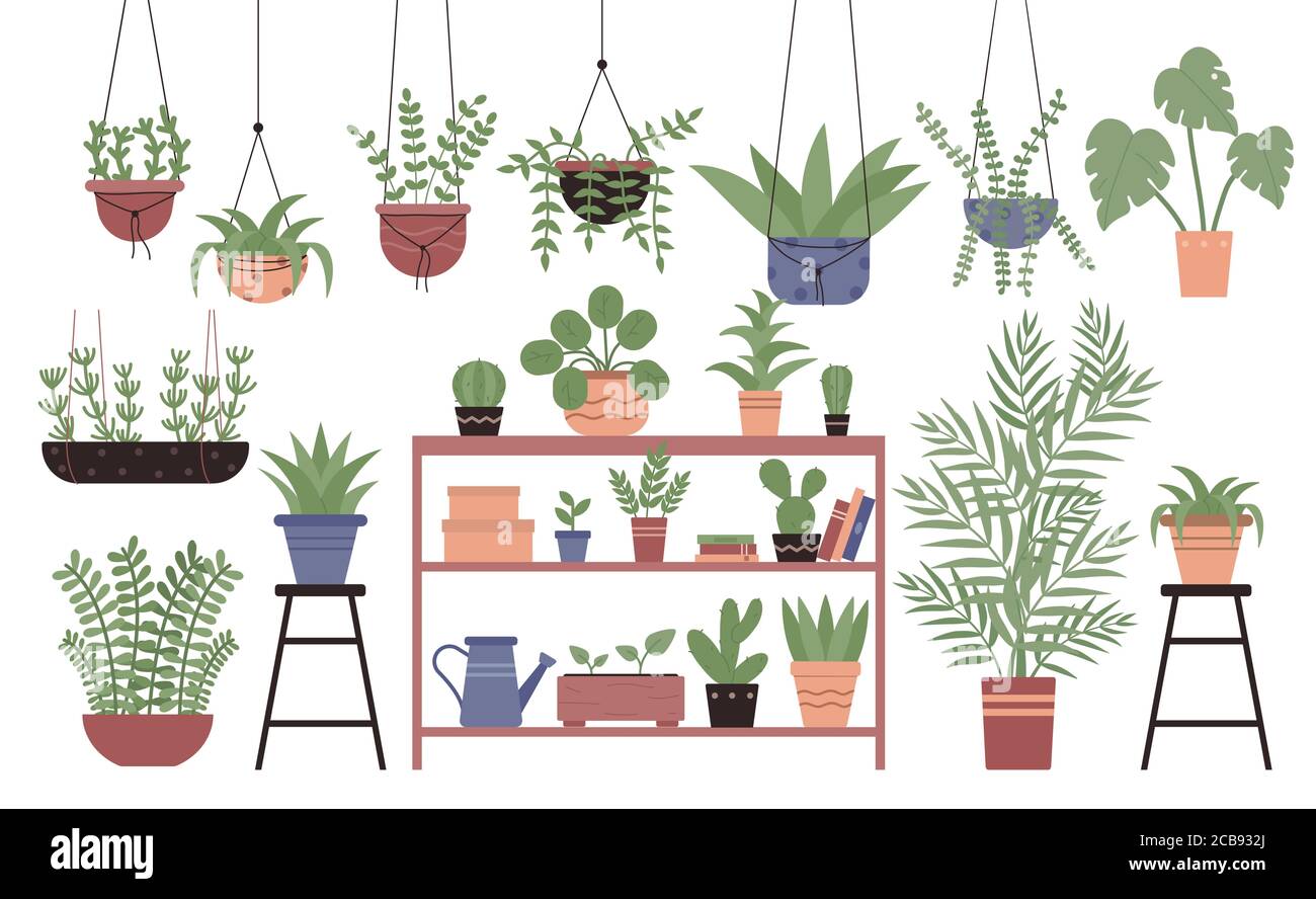 Hanger shelves Stock Vector Images - Alamy