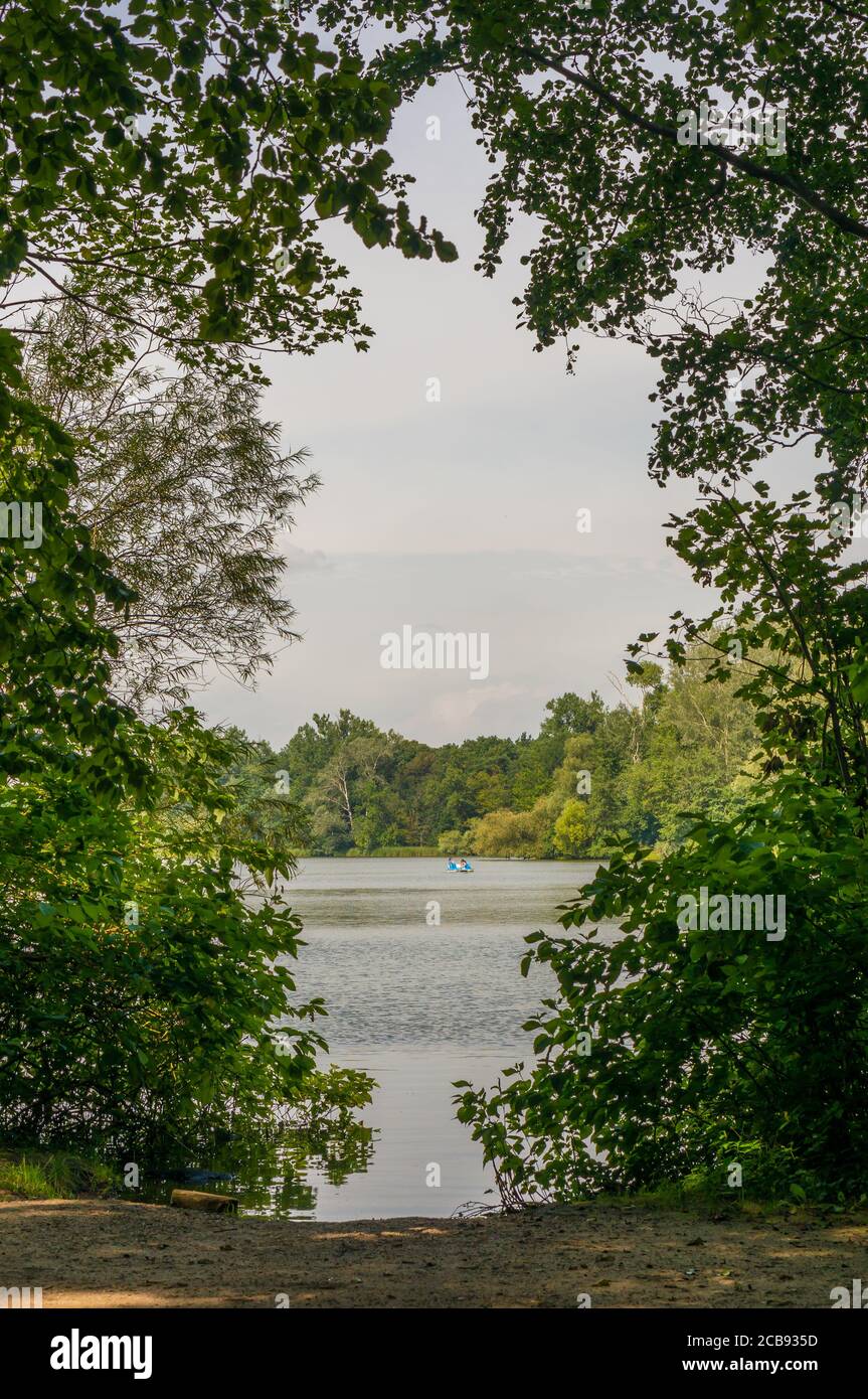 View to a natural lake Stock Photo - Alamy