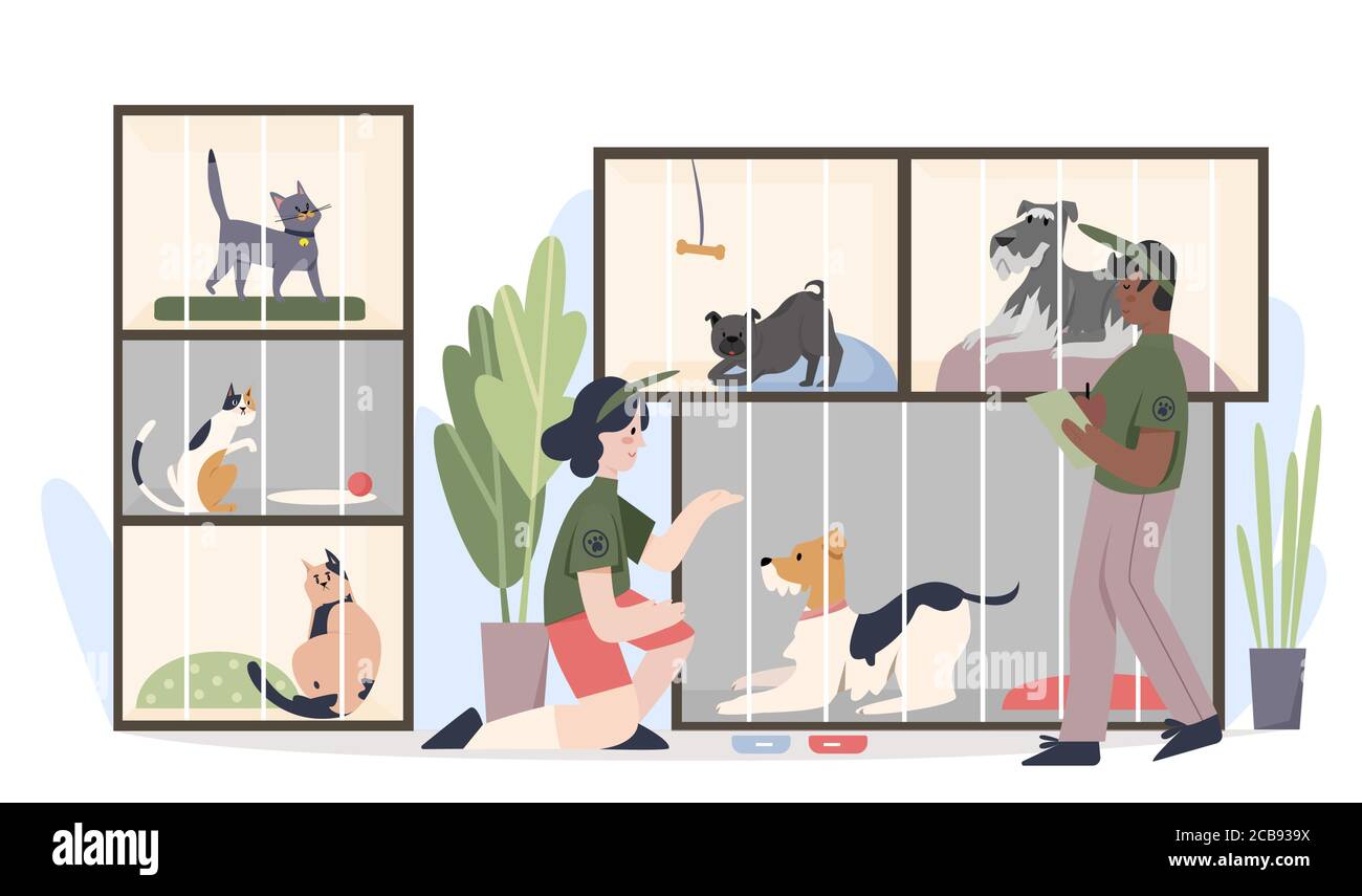 Man woman looking face in Stock Vector Images - Alamy