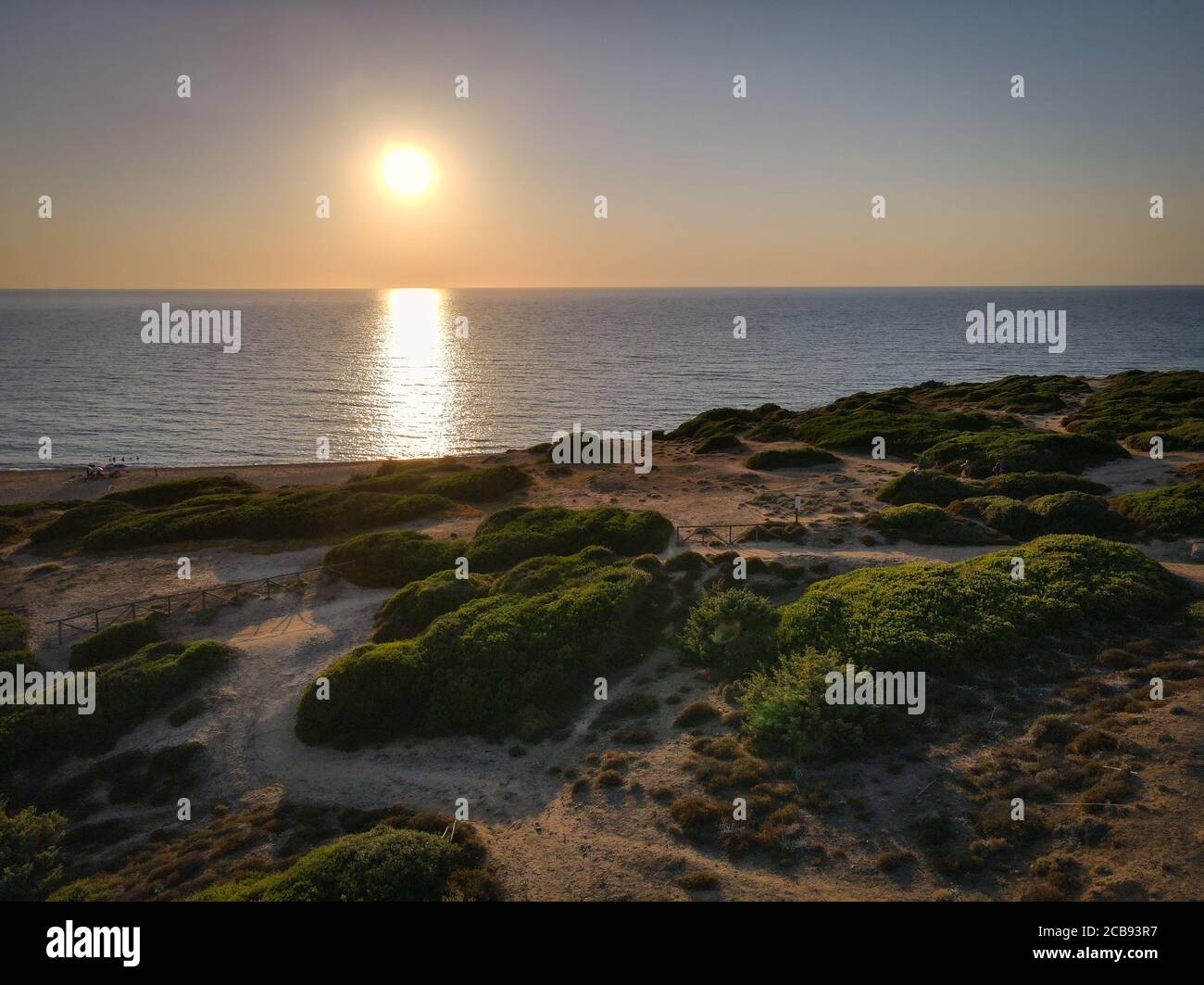 Beautiful shot of a sunset scenery with greenery on the seashore Stock ...