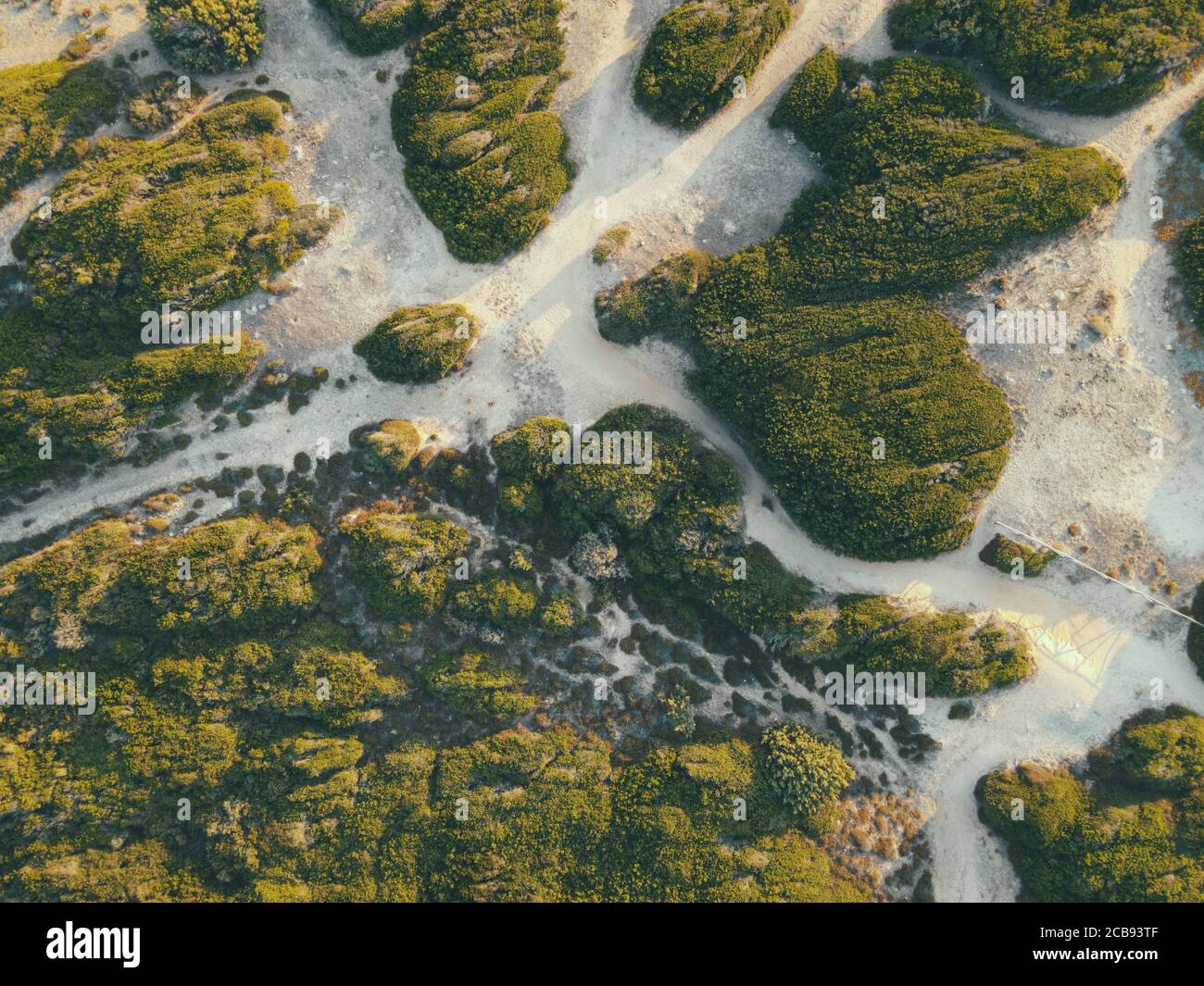 Beautiful top view shot of greenery and sand on the seashore Stock ...