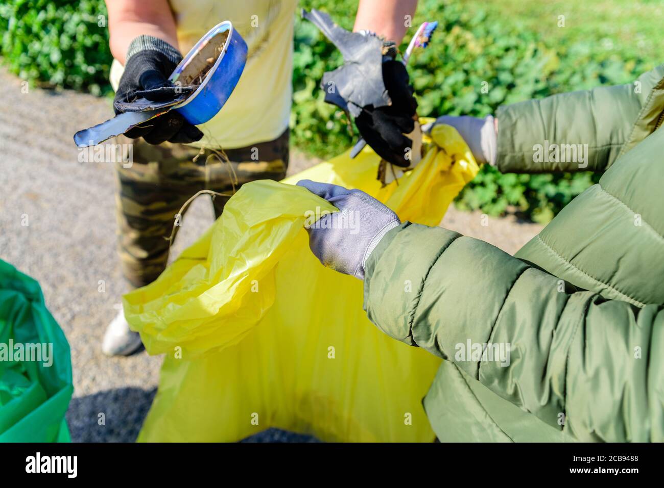 Group of activists clean and collect garbage from nature to keep the ...