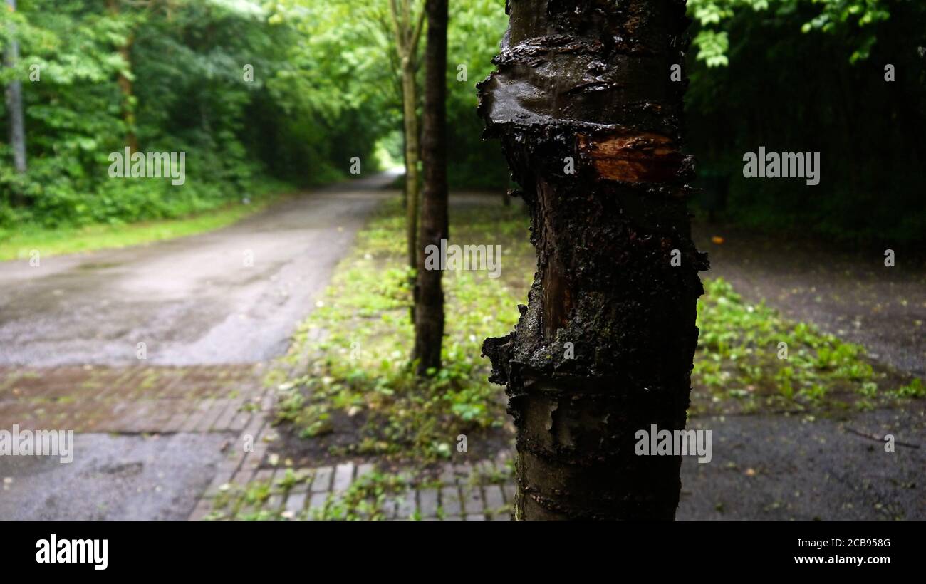 Horizontal shot beautiful blue hi-res stock photography and images - Alamy