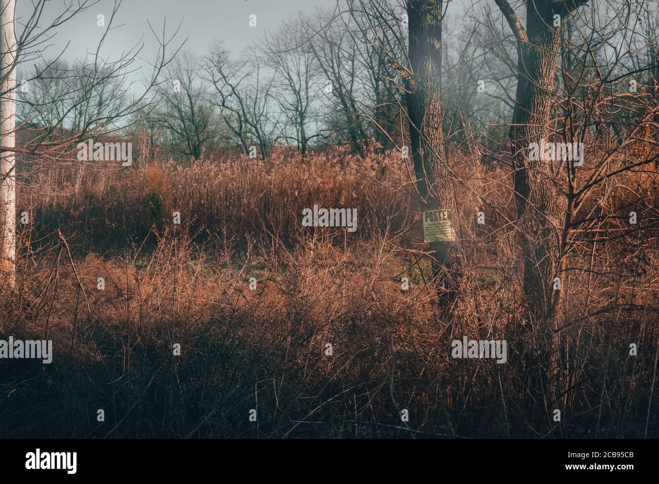 A Dead Field in Winter with a Sign on a Tree That Says No Trespassing ...