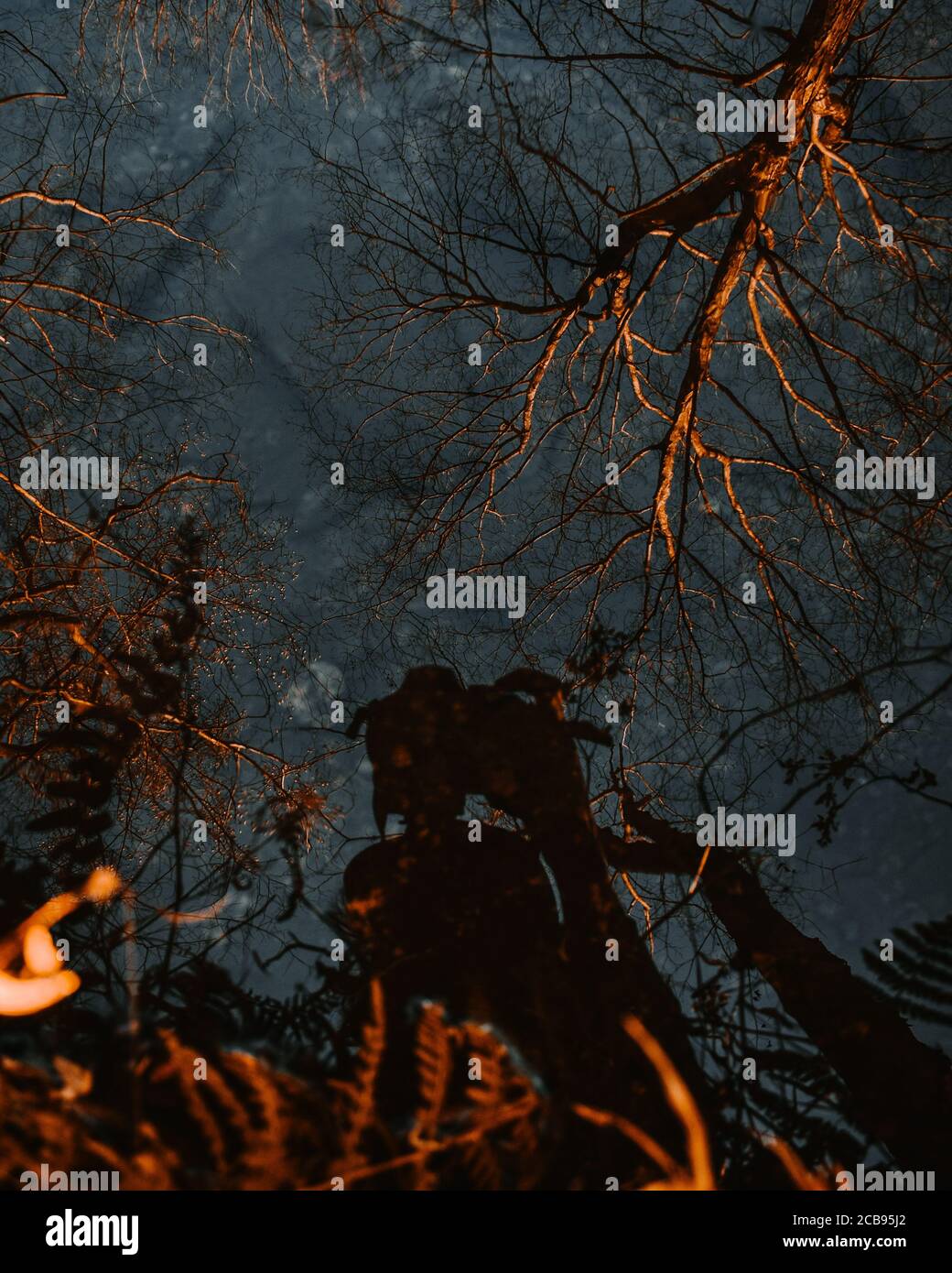 A Man Leaning Over a Reflective Body of Water Taking a Picture of ...