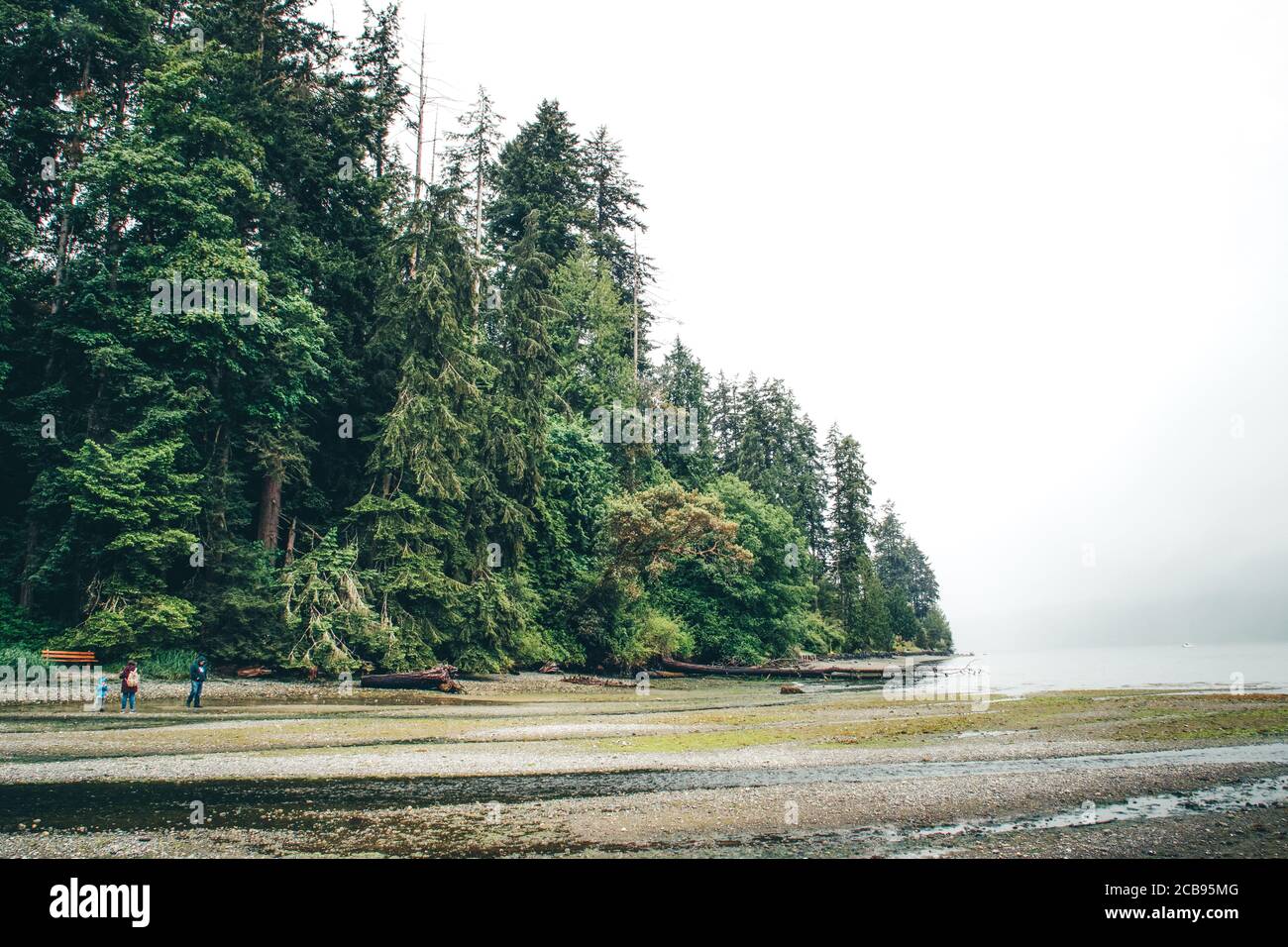 Moody beach on Vashon Island, Seattle Stock Photo - Alamy