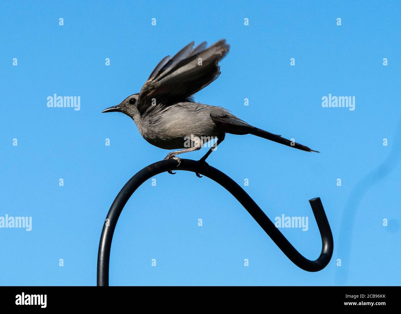 Fly off hi-res stock photography and images - Alamy