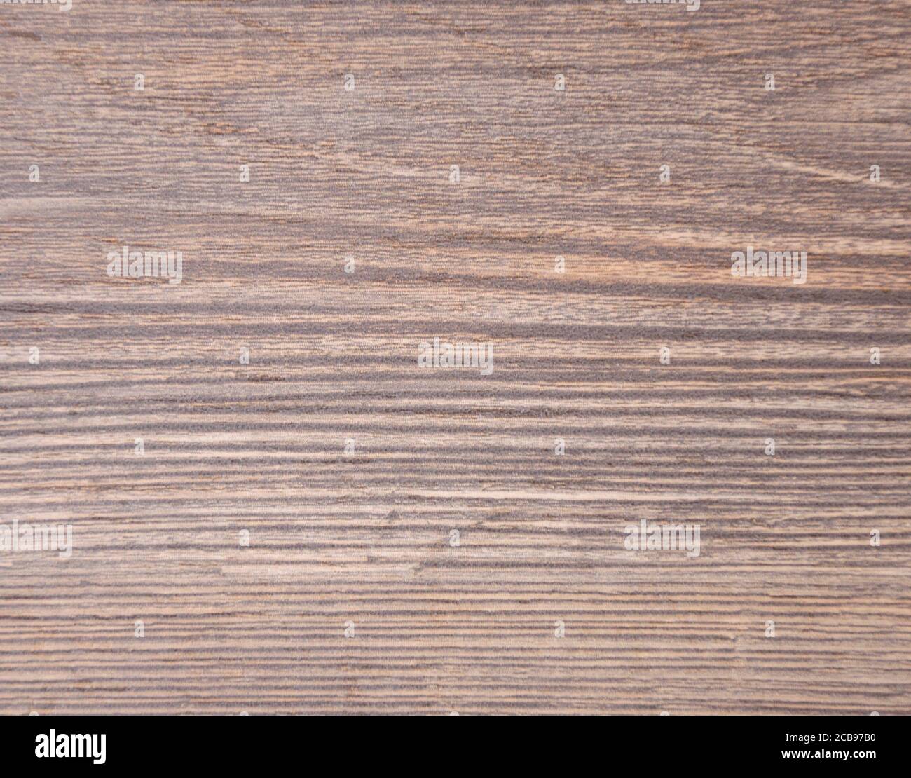 Dark walnut, natural wood texture with a rich pattern close-up ...