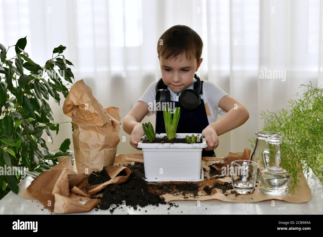 The child in gardening at home. Takes the edges the flower pot with ...