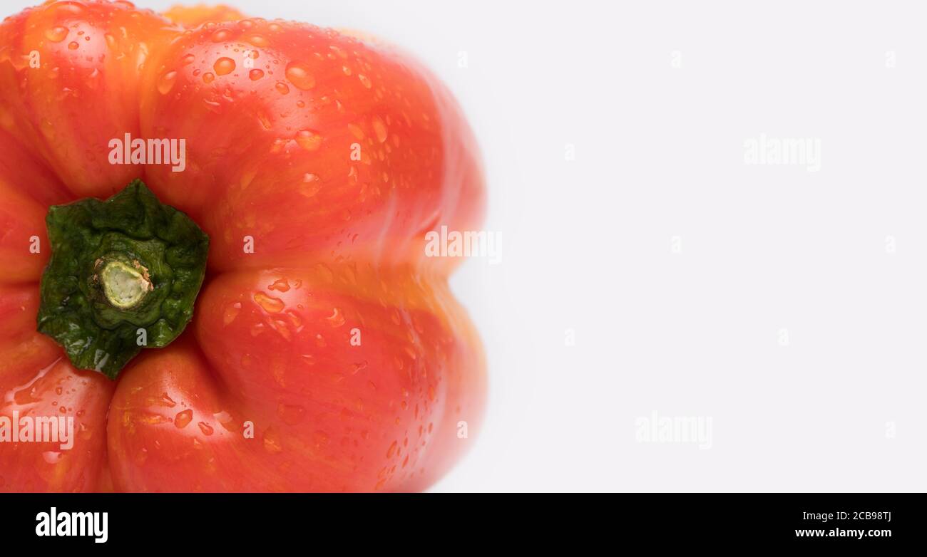 Variegated pepper red and yellow with water droplets on white ...